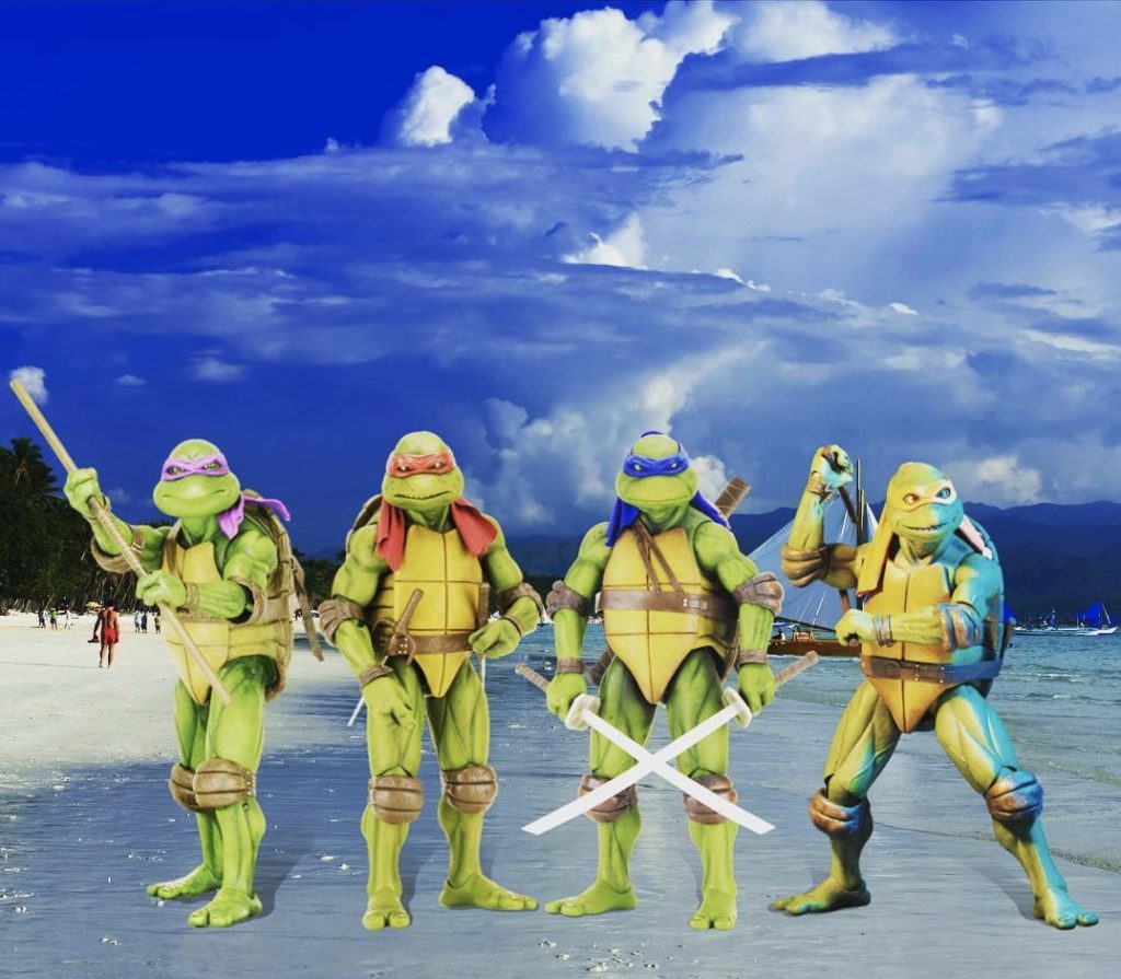 Time to become a 'mutant ninja turtle' for your beautiful island ...
