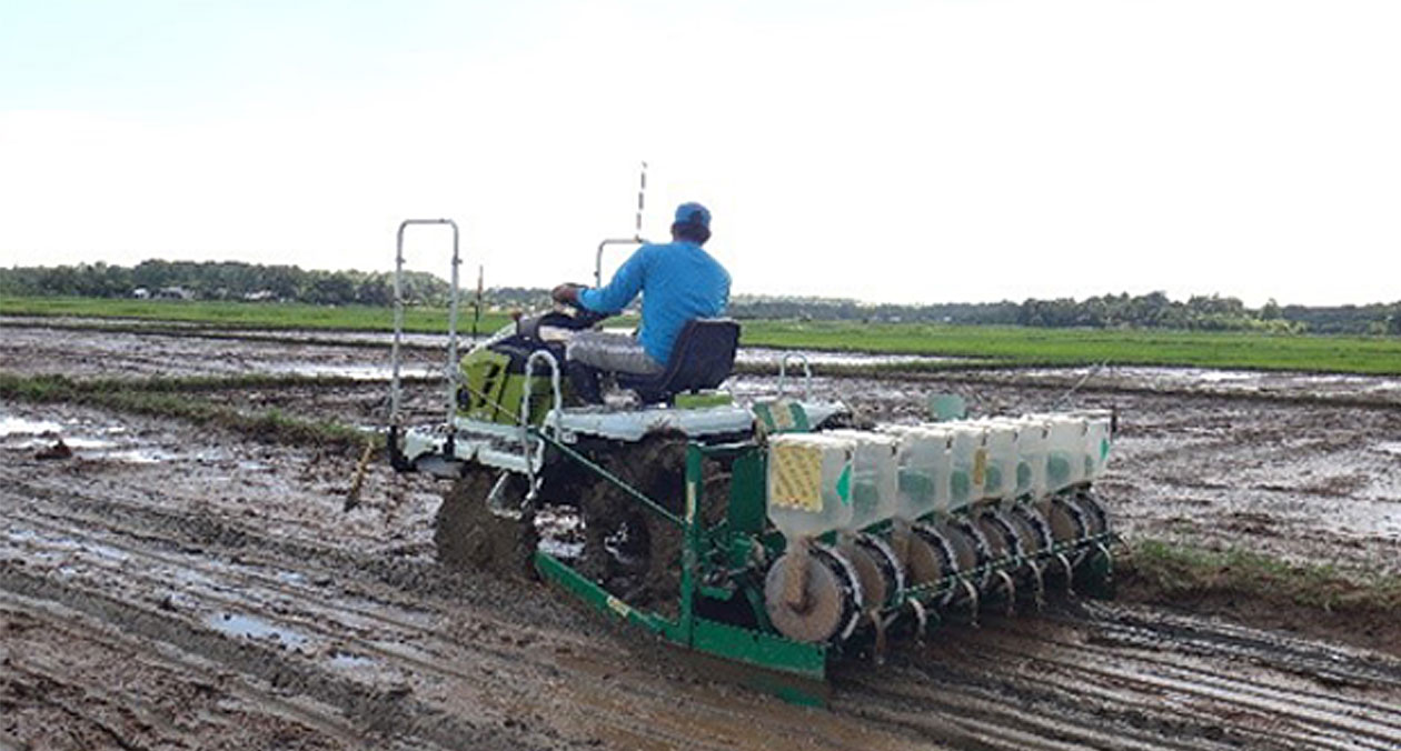 Decreasing number of farmers necessitates use of mechanized rice ...
