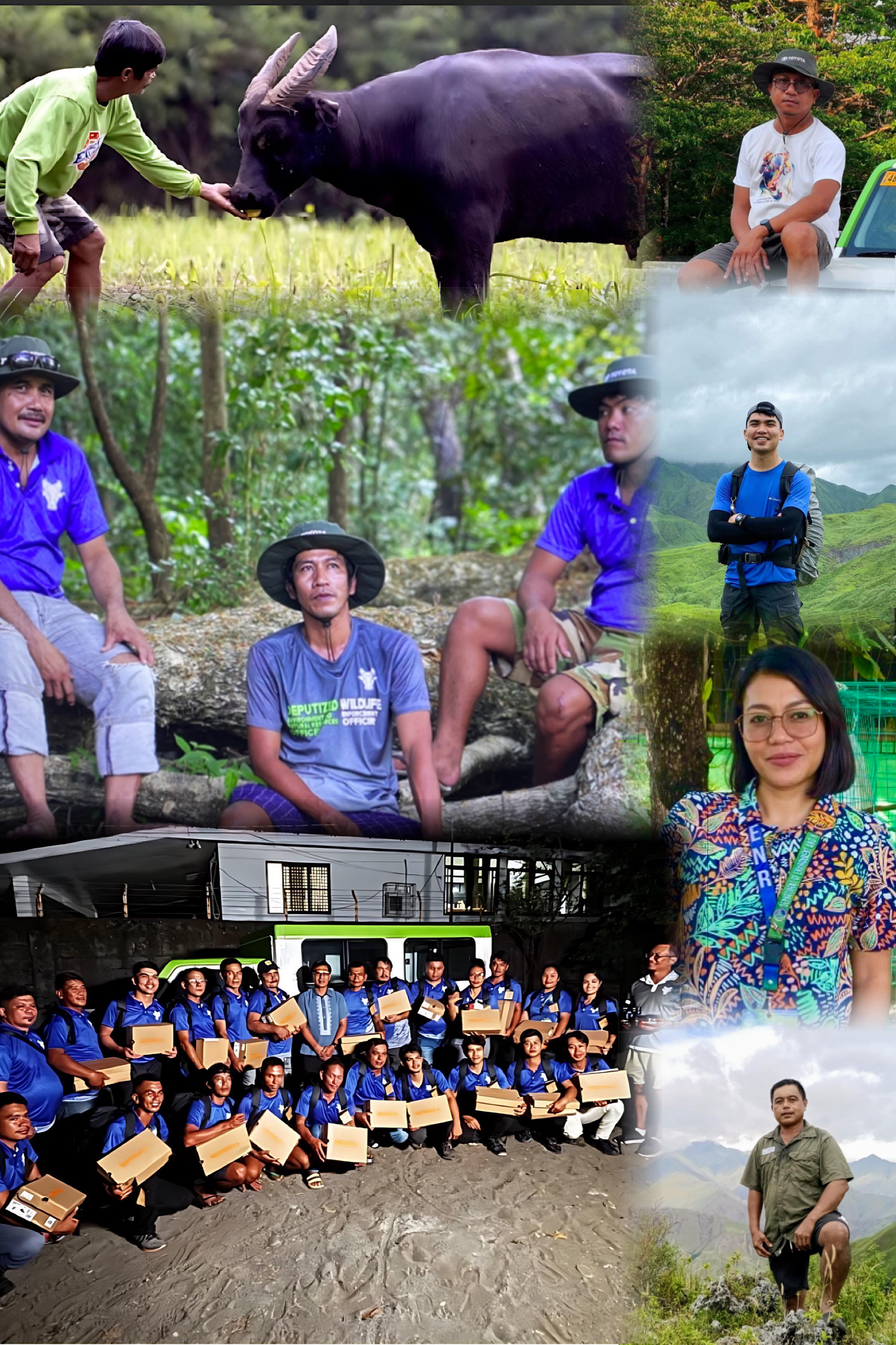 Mindoro’s dwarf buffalo defenders risk lives every day | TESSDrive™